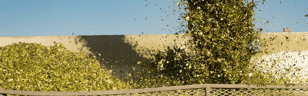 DEKALB® Silage Seed - Catalog