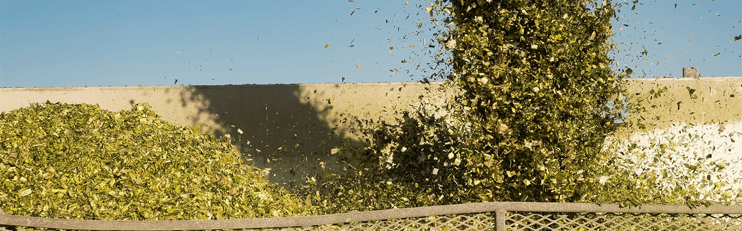 DEKALB® Silage Seed - Catalog