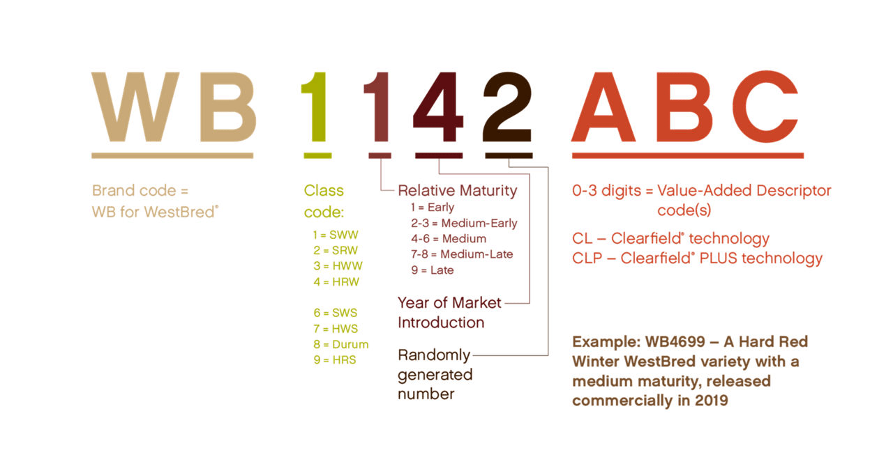 Westbred® Wheat Seed - Catalog