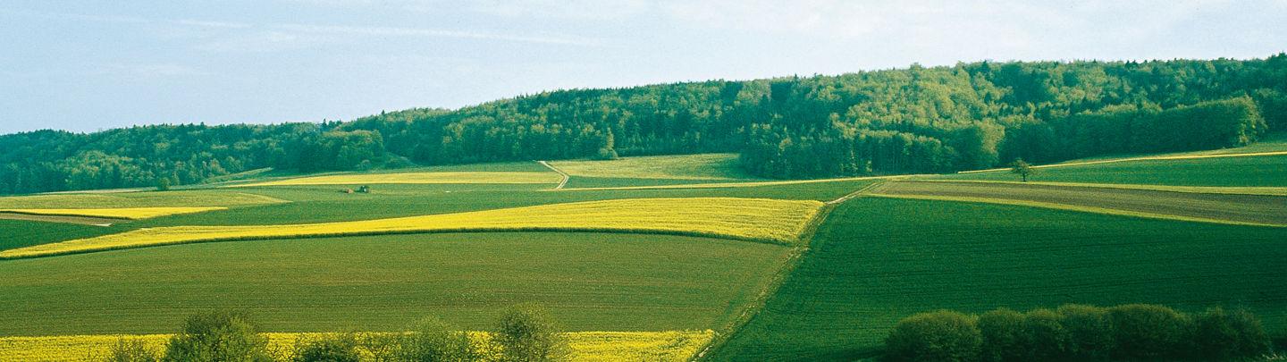 DEKALB | Corn Seed | Top Products | Crop Science US