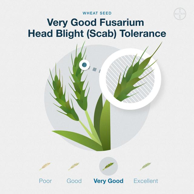 WestBred Wheat Seed Catalog