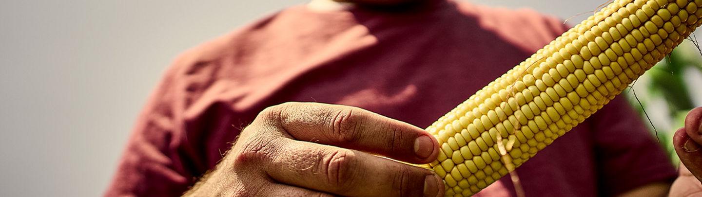 SmartStax® RIB Complete® Corn Blend | Bayer Traits | Crop Science US