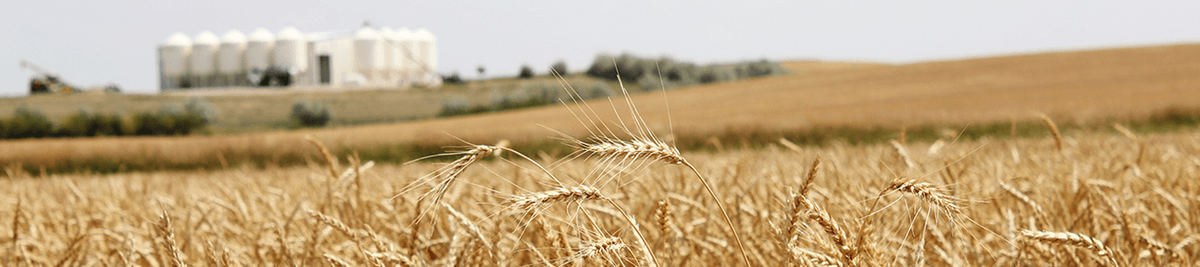 WestBred® Wheat Seed - Catalog