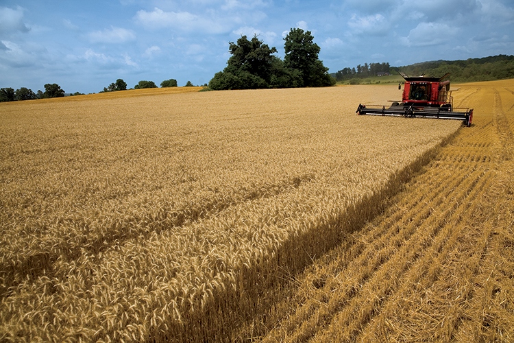 Agronomy Articles | Crop Science US